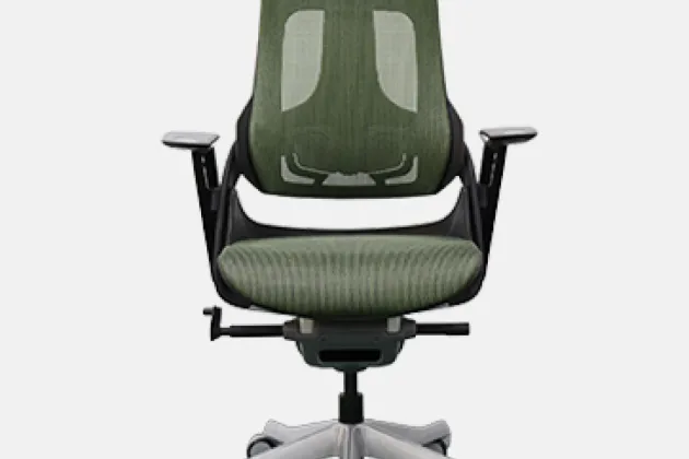 Wonder Ergonomic Chair | Smart Performance for Leaders